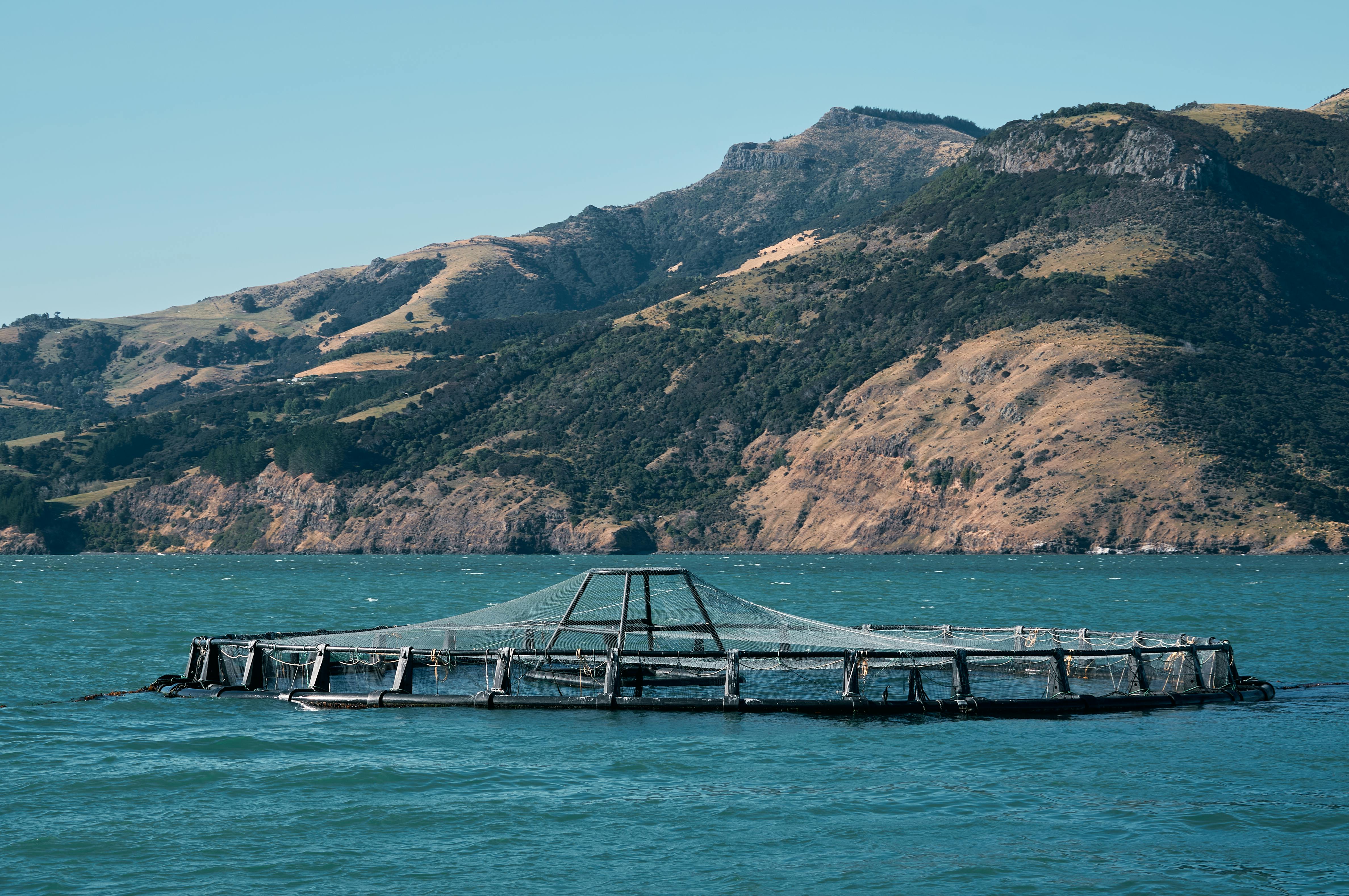 How underwater drones are revolutionizing fish farming — Urban Drones
